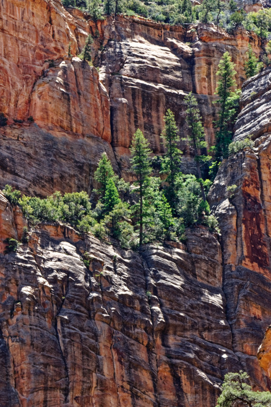 The Wellington Group, LLC